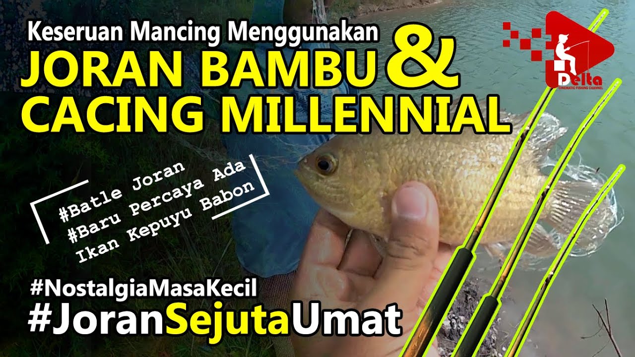 Keseruan Mancing Menggunakan Joran Bambu Dan Cacing Millennial - Delta ...