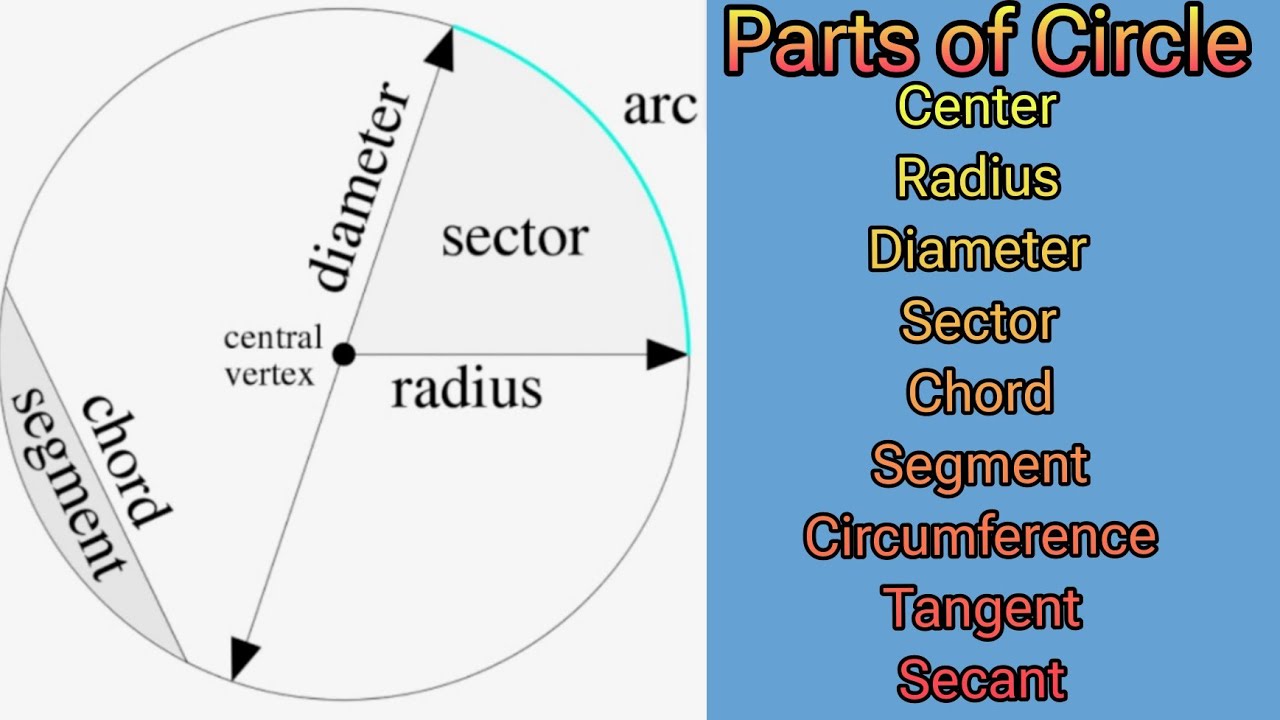 Parts of Circle ! #mathtricks#maths #radius #diameter #circumference # ...