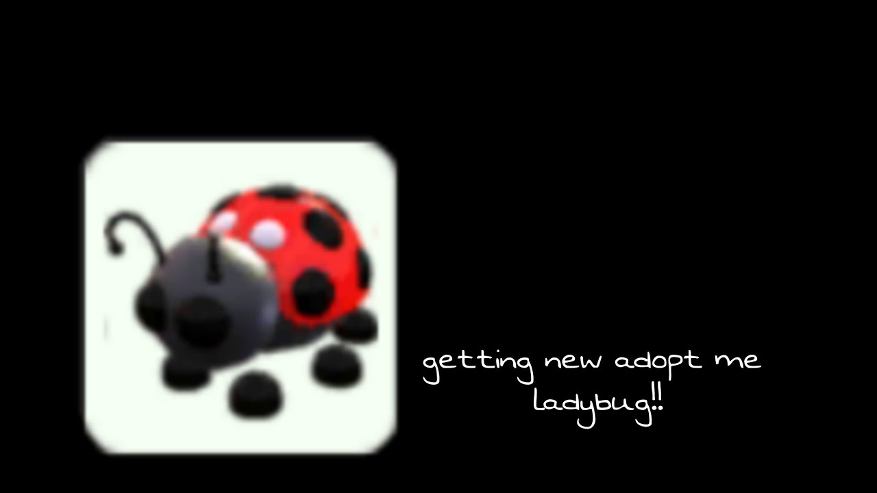 Getting new ladybug ft.TOMI GAMES and my little brother!!! - YouTube