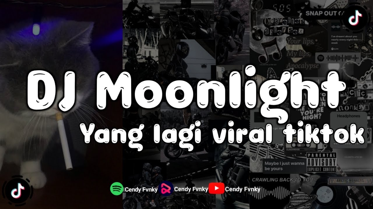 DJ Moonlight yang lagi viral tiktok - YouTube