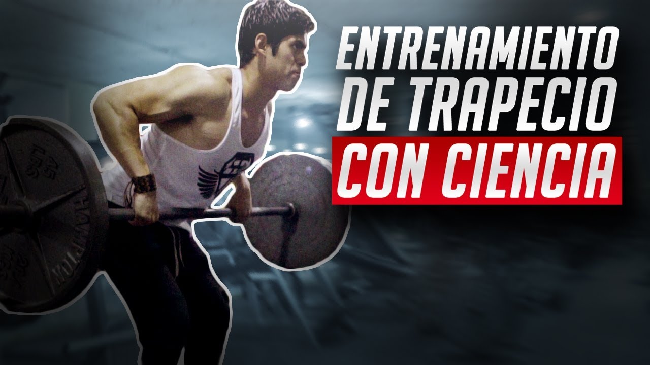 El mejor entrenamiento de trapecio / CIENTÍFICAMENTE COMPROBADO - YouTube