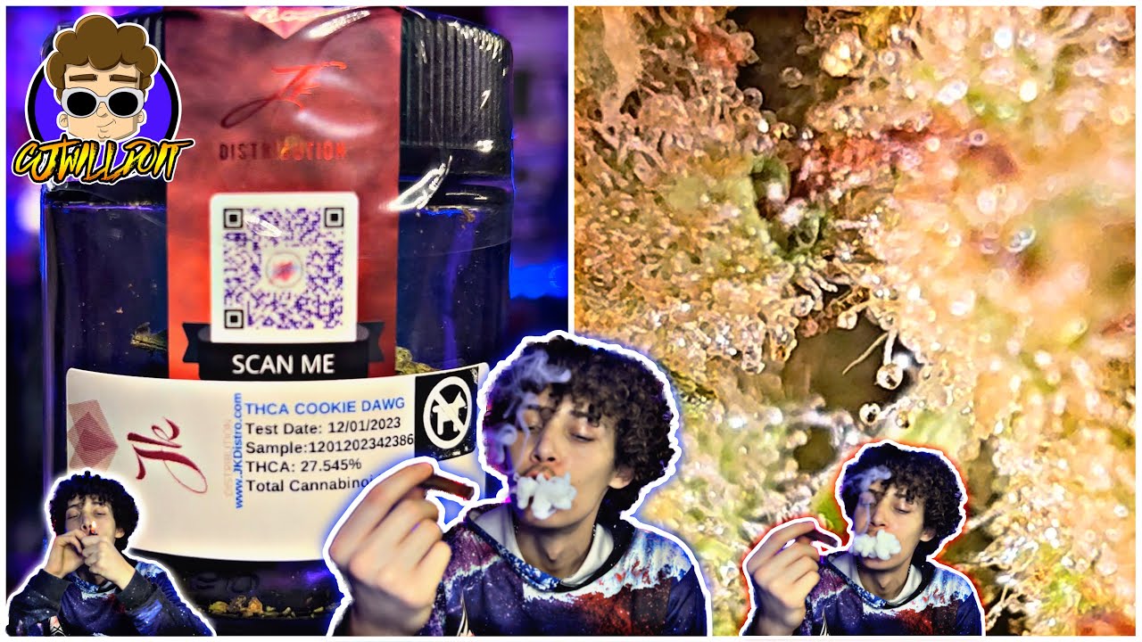 JK Distro Cookie Dawg Doiiiiink Sesh - YouTube