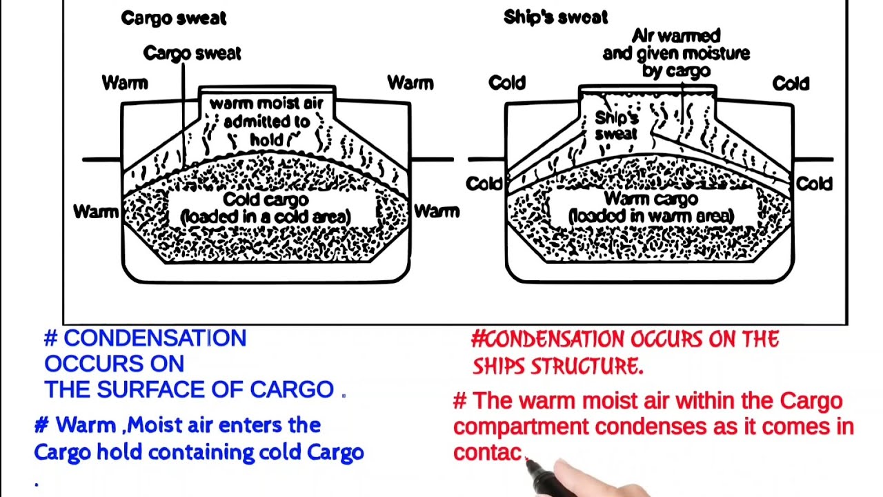 Difference between Cargo Sweat and Ships Sweat .... - YouTube