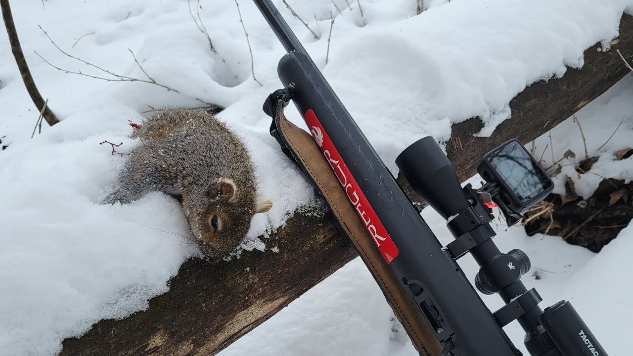 Extreme Cold Winter Squirrel Hunting - YouTube