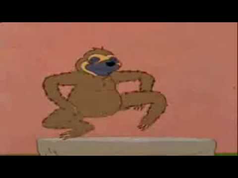 dancing sloth.MP4 - YouTube