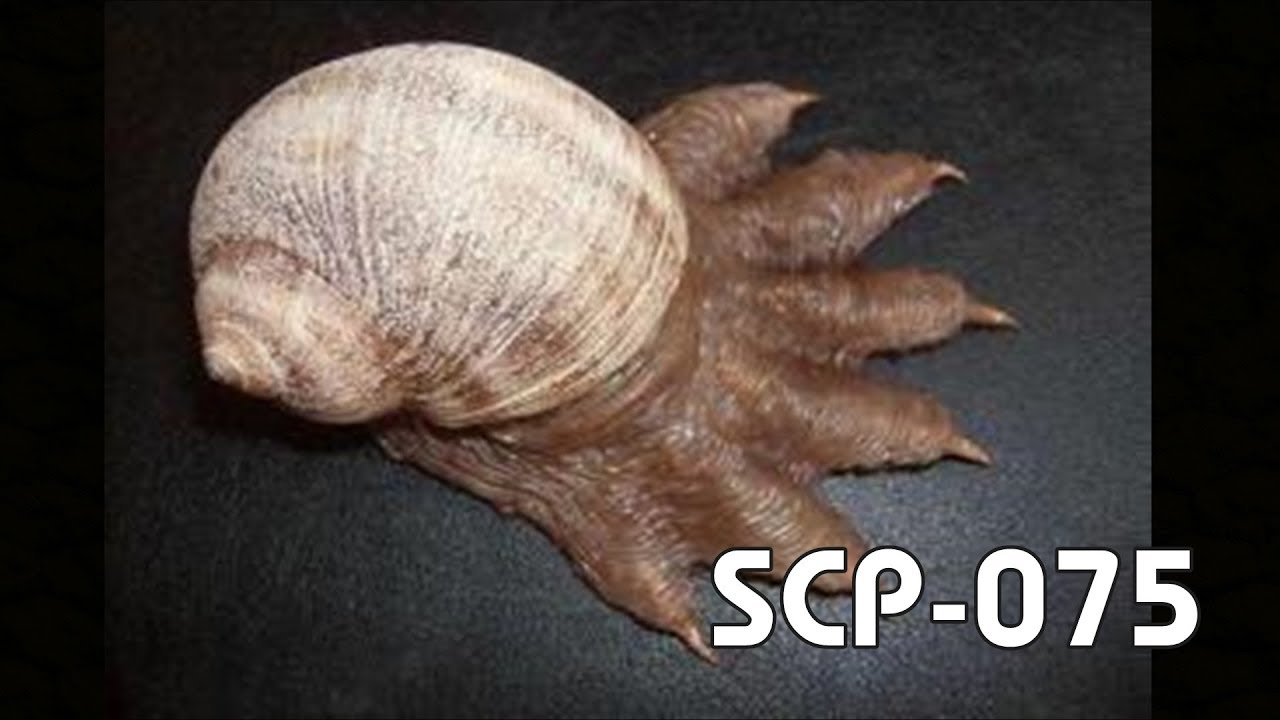 SCP-075 | "Żrący Ślimak" - YouTube