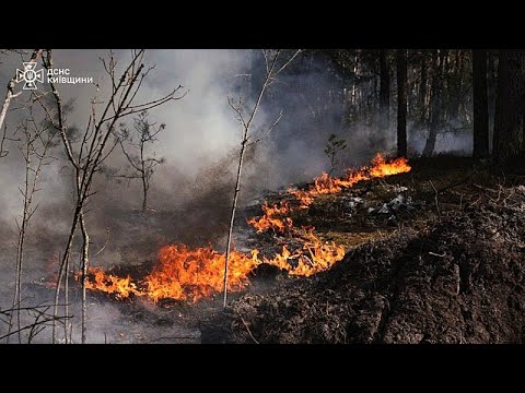 Large forest fire burning in Chernobyl exclusion zone after drone crash, Kyiv says