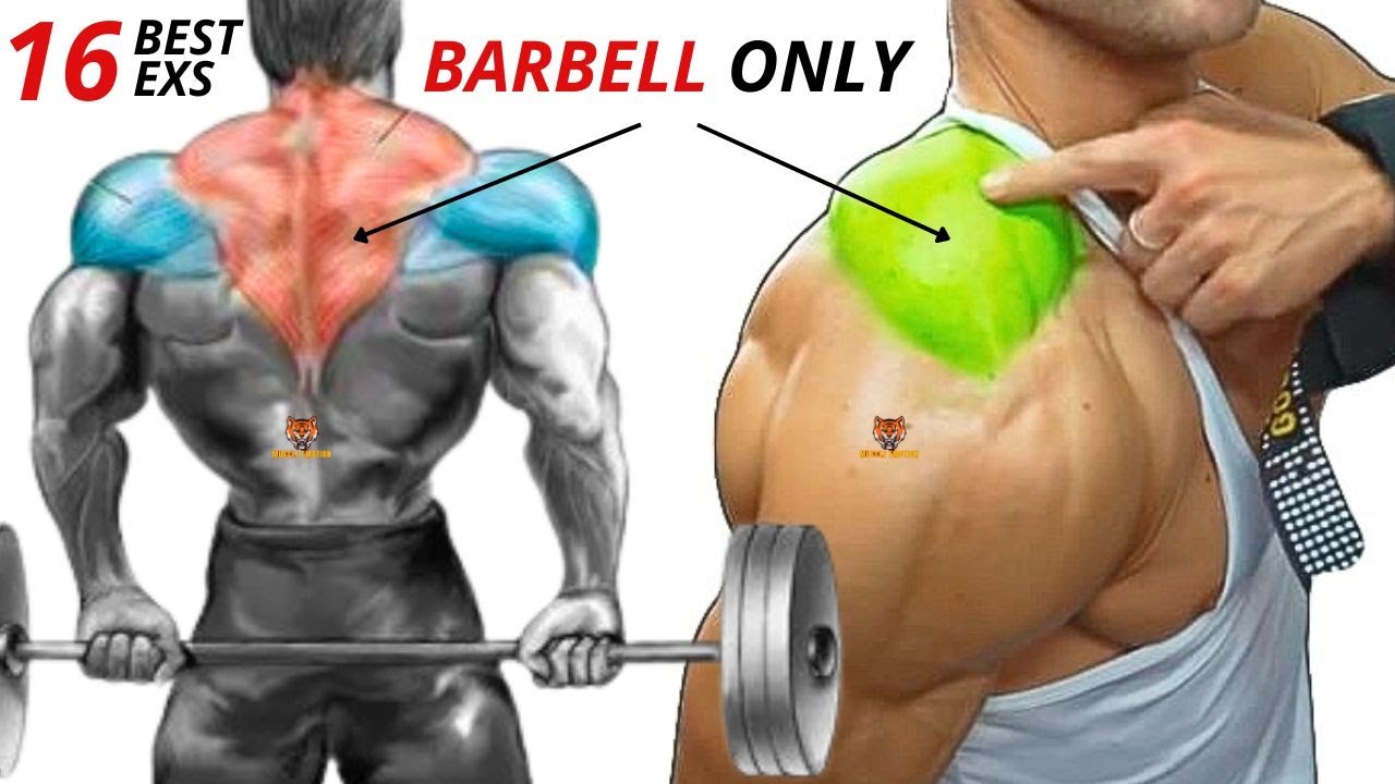 16 best traps exercises with BARBELL ONLY at gym / HUGE TRAPS WORKOUT ...