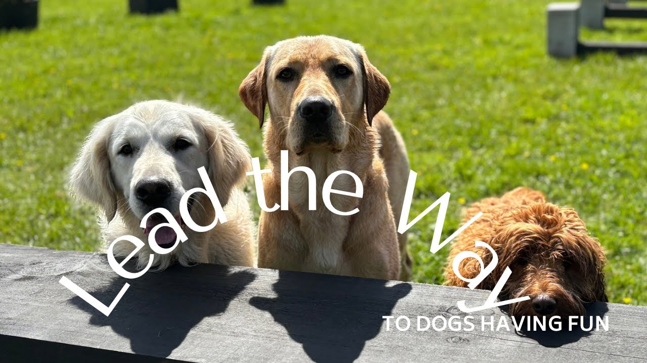 We’re Baaaaack! Such a good day! - YouTube