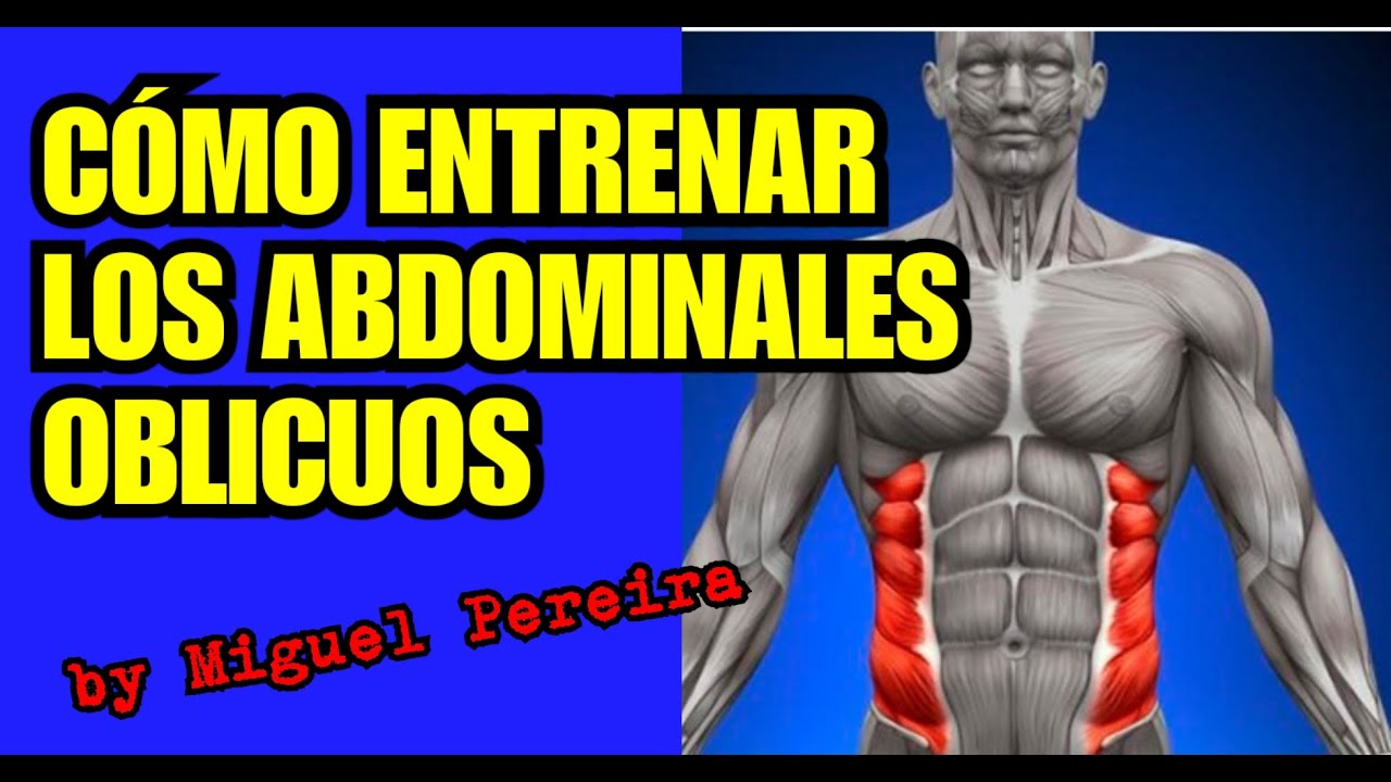 COMO ENTRENAR LOS ABDOMINALES OBLICUOS - YouTube