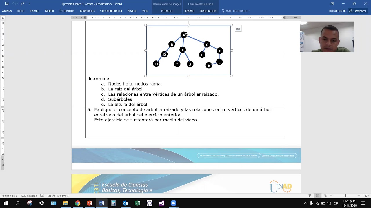 Árbol enraizado - YouTube