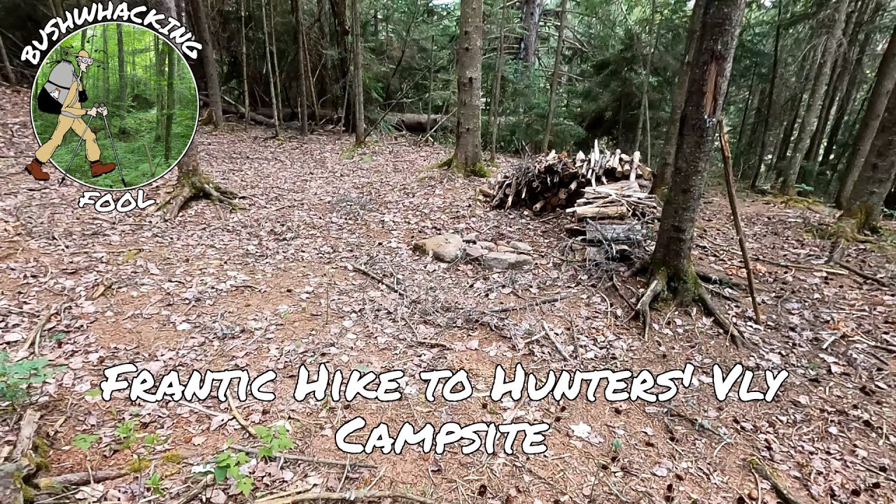 Frantic Bushwhack from Deer Pond to Hunters' Vly | Birdathon ...