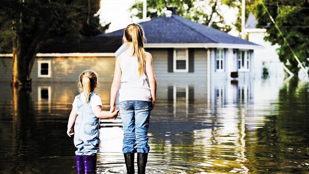 Water Damage Recovery Dallas TX - Contact Us (469) 620 8443 - YouTube