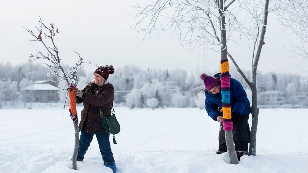 Yarn Bombing with the Anchorage Guerrilla Knitters - YouTube