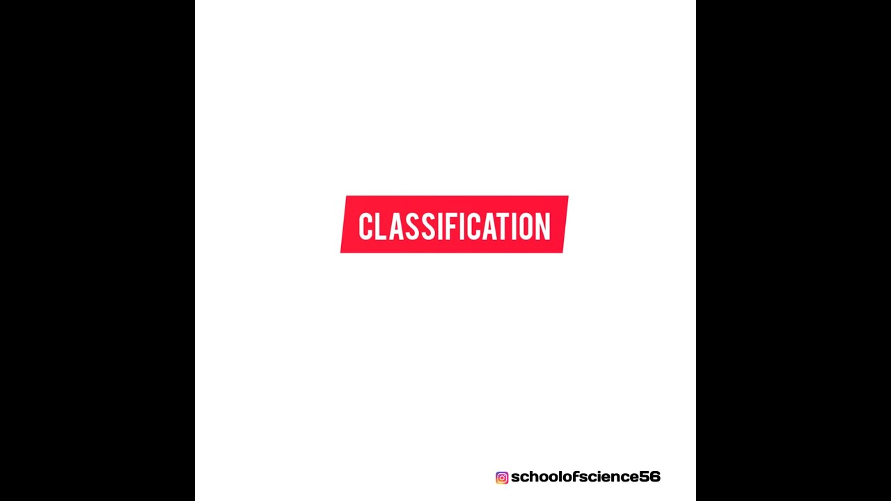 CLASSIFICATION - YouTube