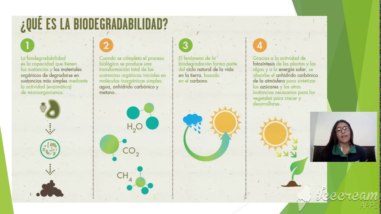 Biodegrabilidad de desechos - YouTube