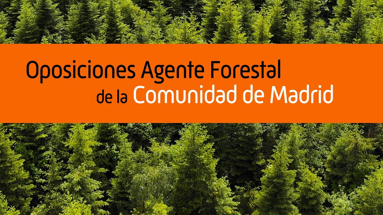 Oposiciones Agente Forestal Comunidad de Madrid | MasterD - YouTube