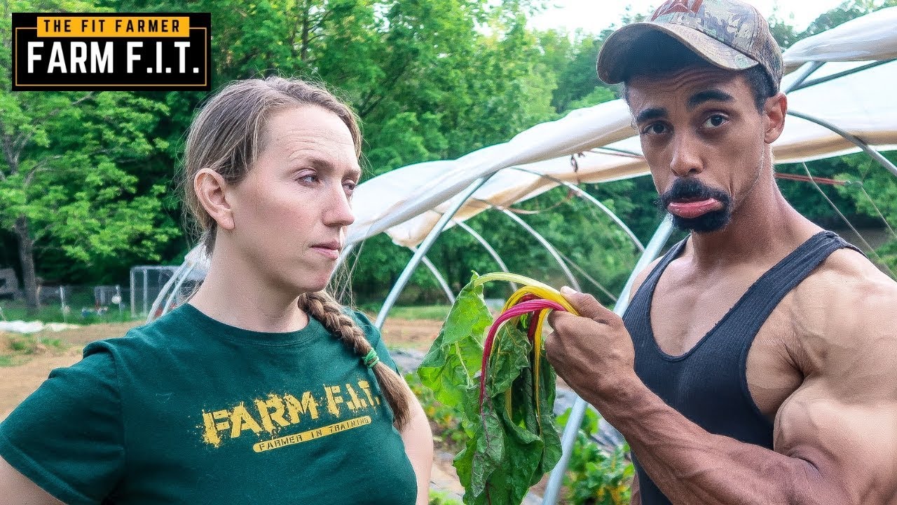 What makes it go LIMP? - YouTube