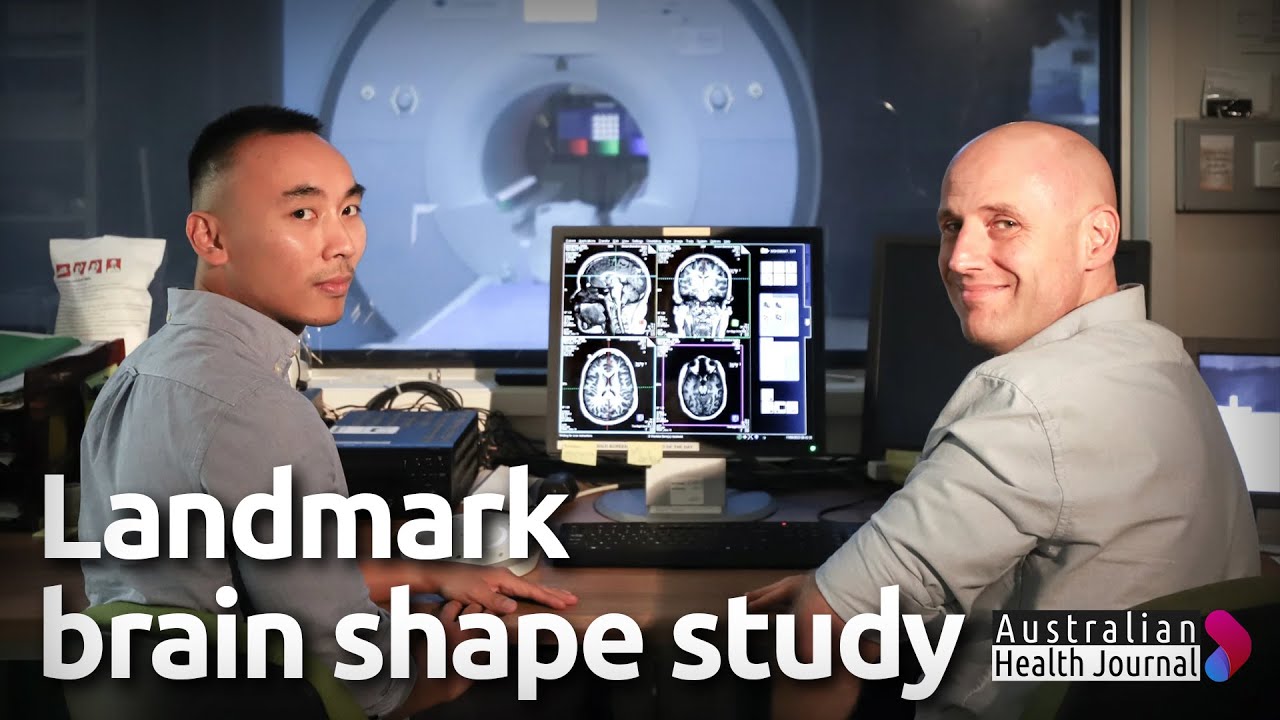 Landmark study into shape of the brain and how it influences the way it ...