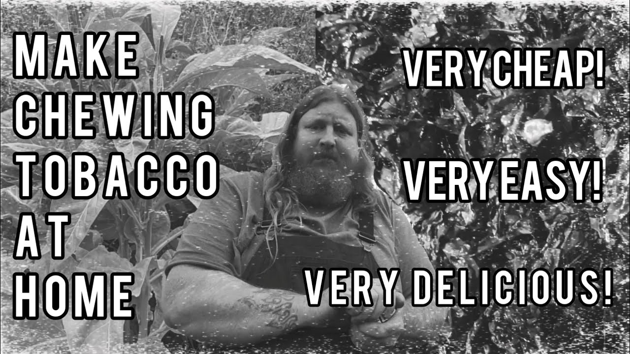 How To Make Chewing Tobacco it s Cheap And Easy YouTube How To Make Chewing Tobacco it s Cheap And Easy YouTube