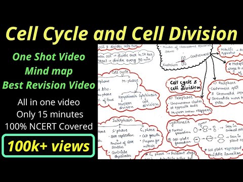 Cell Reproduction Concept Map