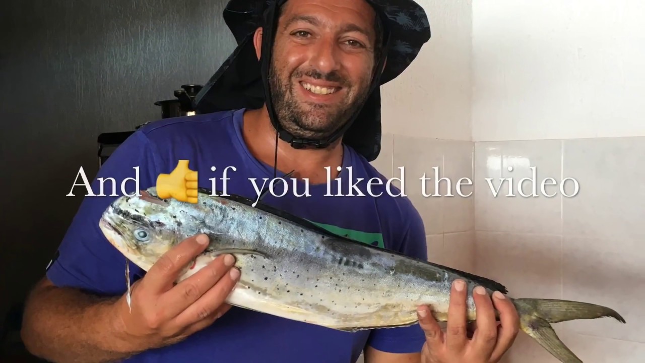Λαμπουκες (κυνηγοι) στη Κρητη. Mahi mahi - dolphinfish - lambouka in ...