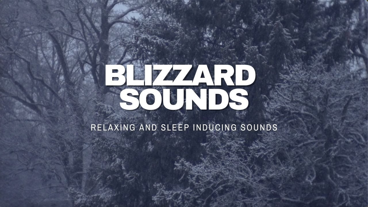 Blizzard sounds for Sleep, Relaxation & studying - Snowstorm Sounds and ...