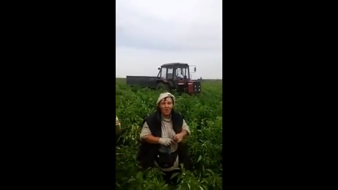 Baba peva sexy pesmu o betmenu (Smesno)😂😂😂 - YouTube