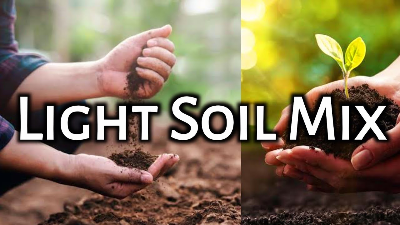 How to make light soil mix for PLANTS - YouTube