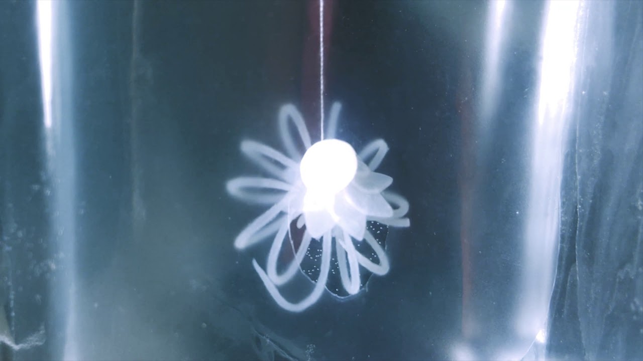 Junqi Zhang p3 video - YouTube