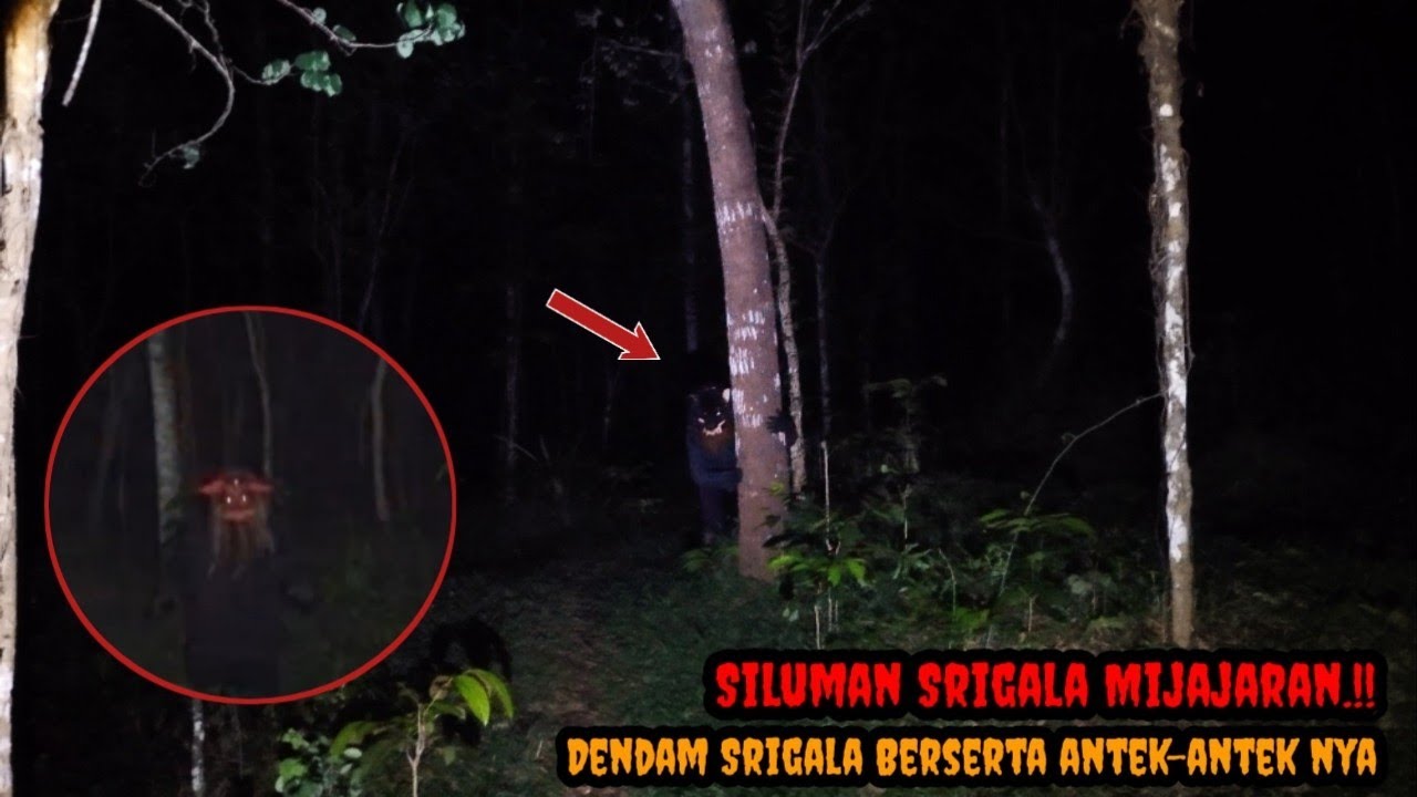 Viral Youtuber Musnahkan Antek-Antek Siluman Srigala‼️Tonton Sebelum ...