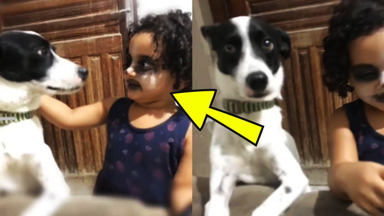 Little Girl Applies Makeup to Imitate Her Dog: The Dog's Incredible ...