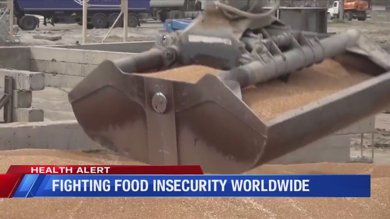 Fighting food insecurity worldwide - YouTube
