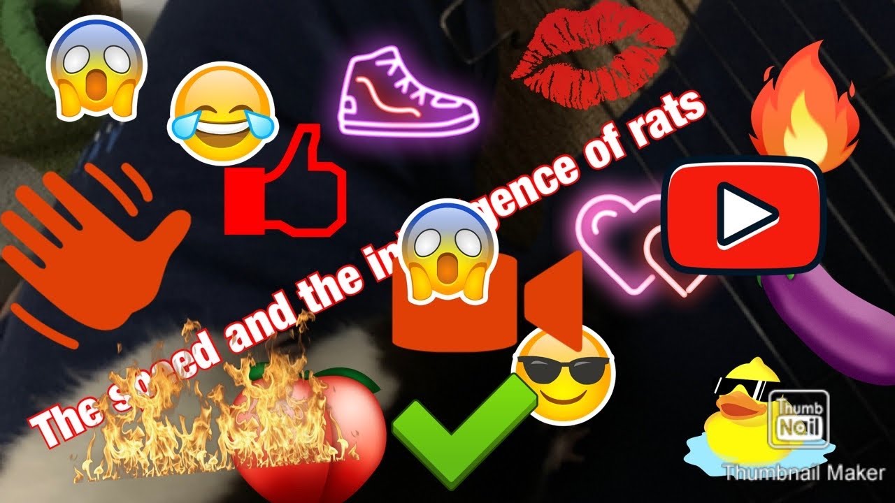 The speed and intelligence of rats - YouTube