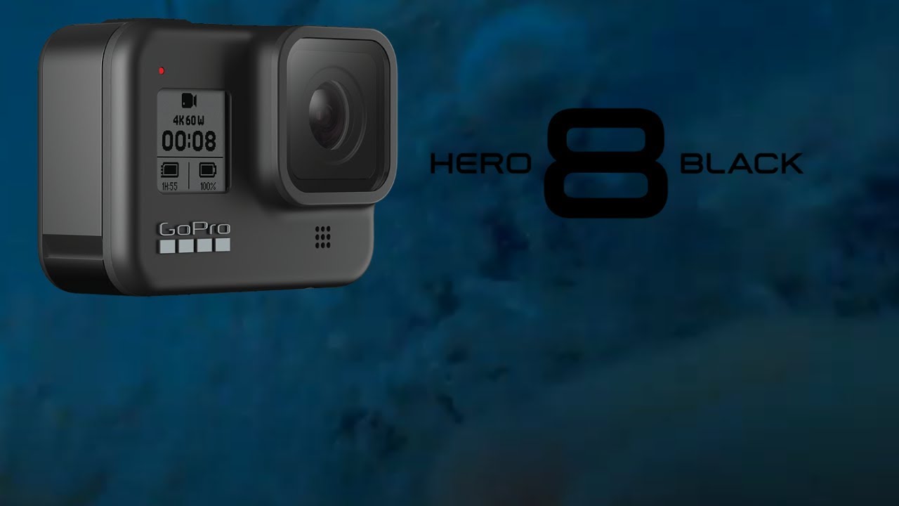 Underwater Quality test | GoPro Hero 8 Black - YouTube