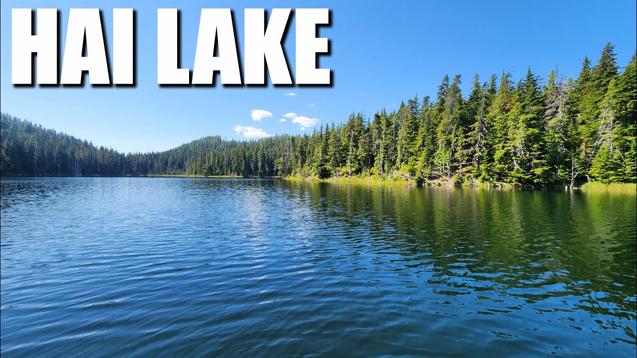 Hai & Herman Lake in Terrace BC | Relax, Hike, and Enjoy Nature - YouTube