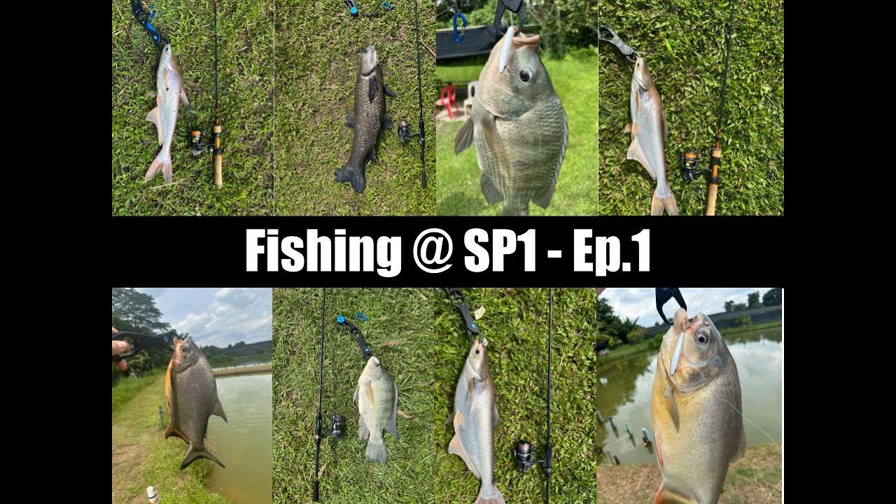Ultralight Fishing Part.1 - SP1- Ep.1 - YouTube