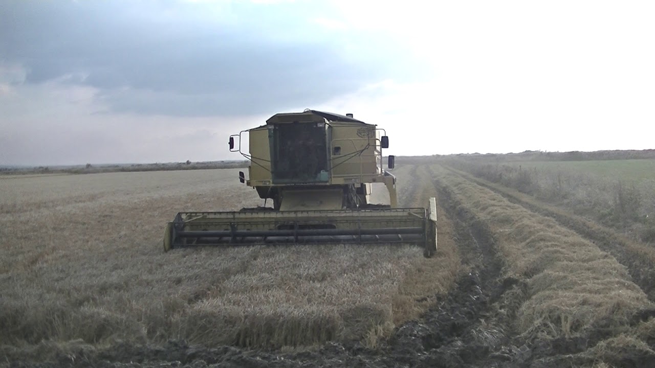 New Holland Tx36 Rice Greece 4-11-2017 - YouTube