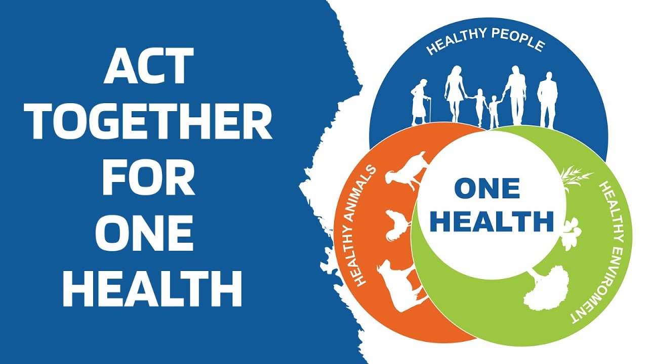 Human health, Animal health and Environment = One health. Act together ...