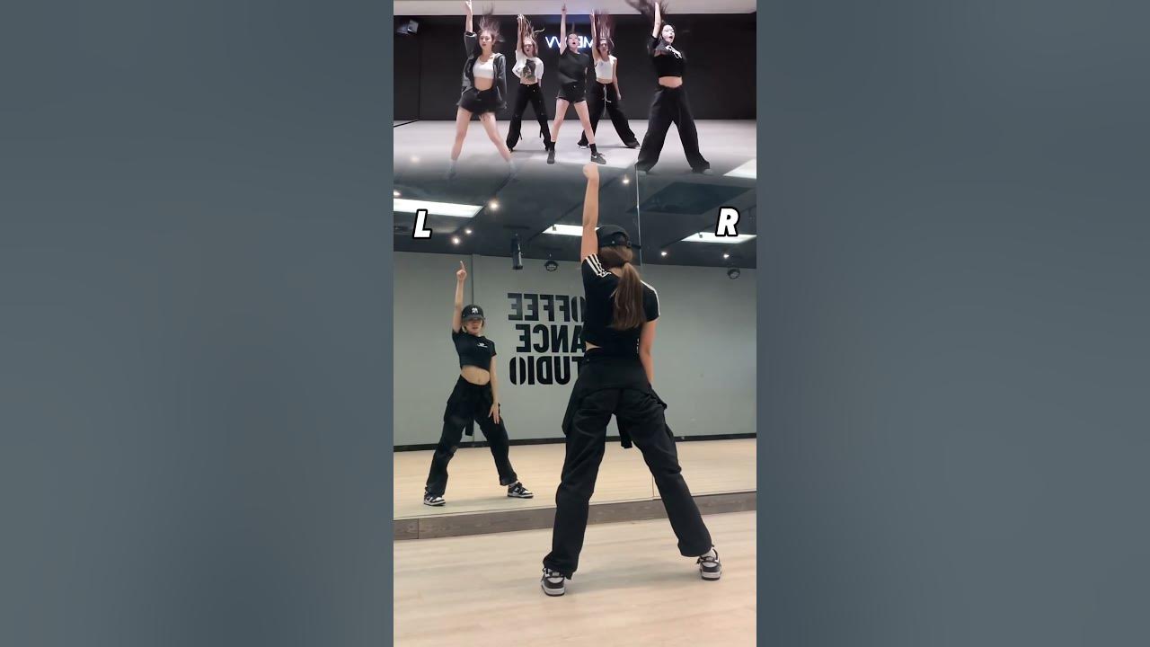 Meow-Meovv dance 0.75 tutorial #meow #meovv #meowdancechallenge #kpoptutorial #dancetutorial ...