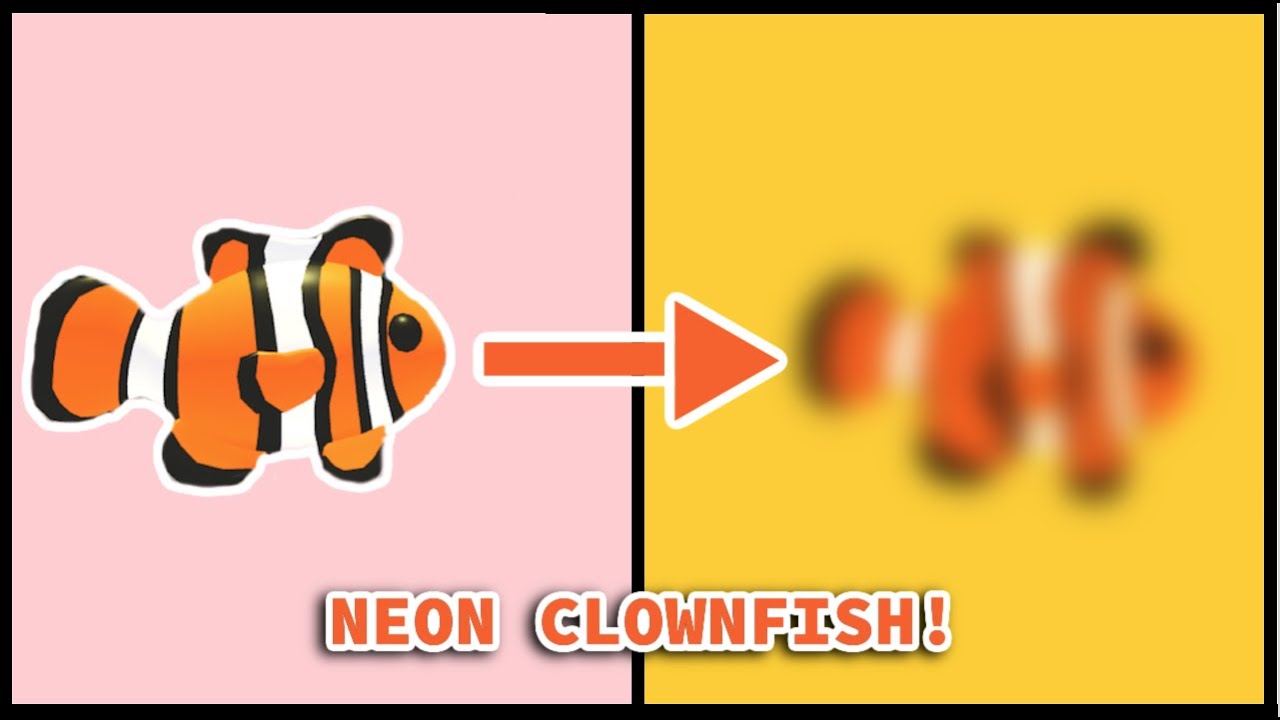 Making *NEON* clownfish in adopt me! || Roblox || Vrishti's World ...