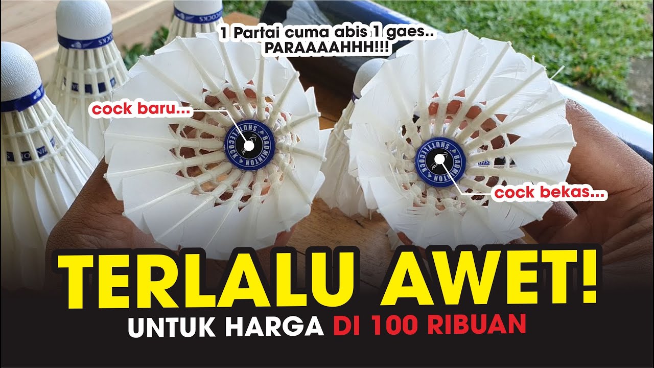 Rekomendasi Terbaik! Shuttlecock diharga 100 ribuan... Review Feel Pemakaian FLOW Shuttlecock ...