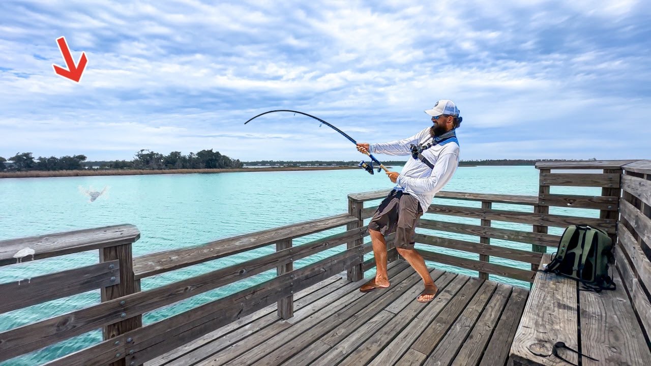 World's SMALLEST Fishing Pier Holds GIANT Fish! * Vitilan I7PRO 2.0 ...