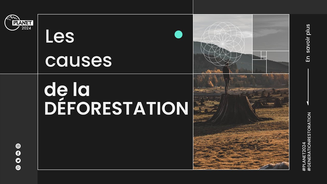 Les causes de la déforestation - PLANET 2024 - YouTube
