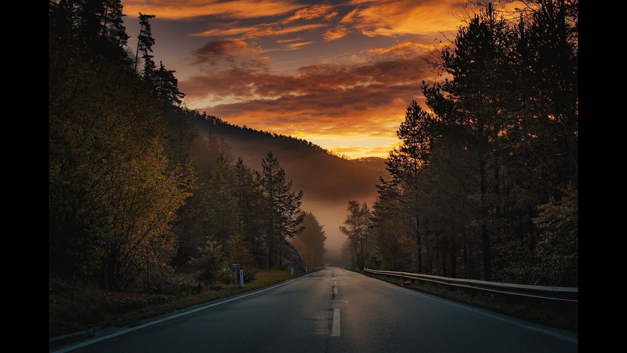 Immerse Yourself in Nature's Symphony: A Soundscape Journey ...