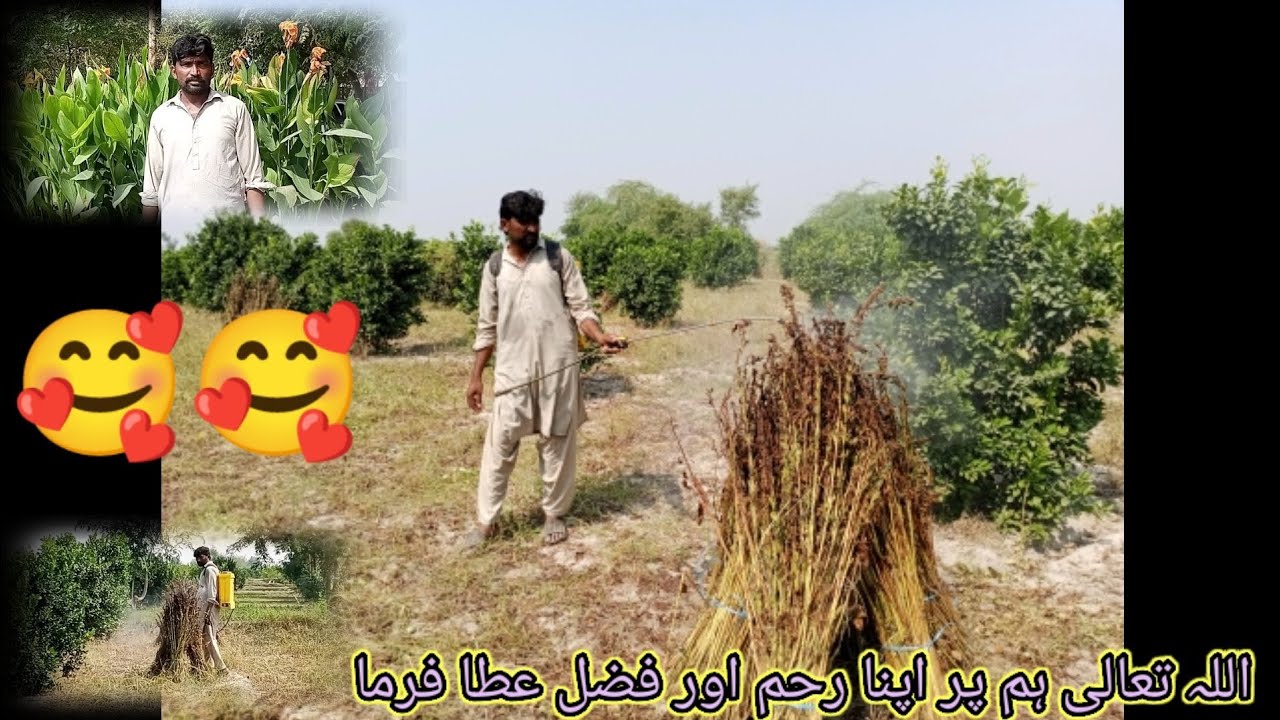 Allah Tala Ham per apna raham aur fajal ata Karen - YouTube