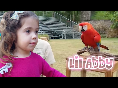 LiL Abby At the Zoo - LiLAbby