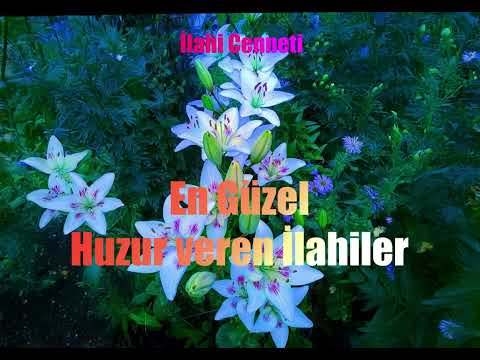 💖 Rabbim Seni Seviyorum | Allah’a Olan Derin Aşk ve Sevgi 🌙