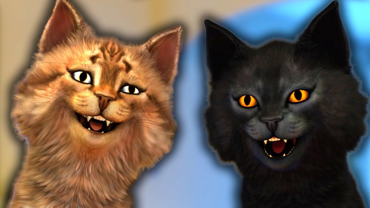 DEUX CHATS SUR BAZOOCAM LE RE-RETOUR - YouTube