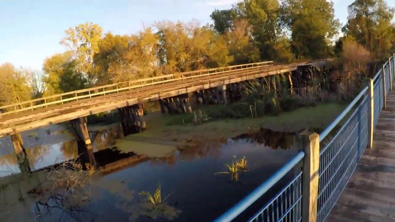 Muskegon Lakeshore Trail 4-mile run - YouTube